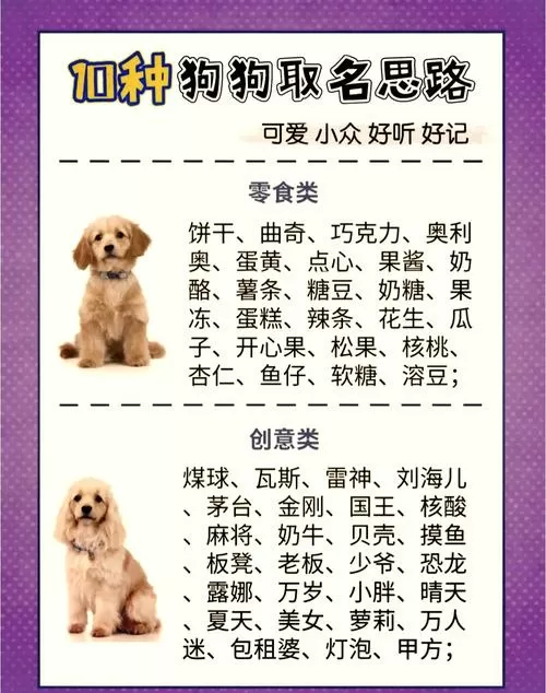 狗的高级替换词图标