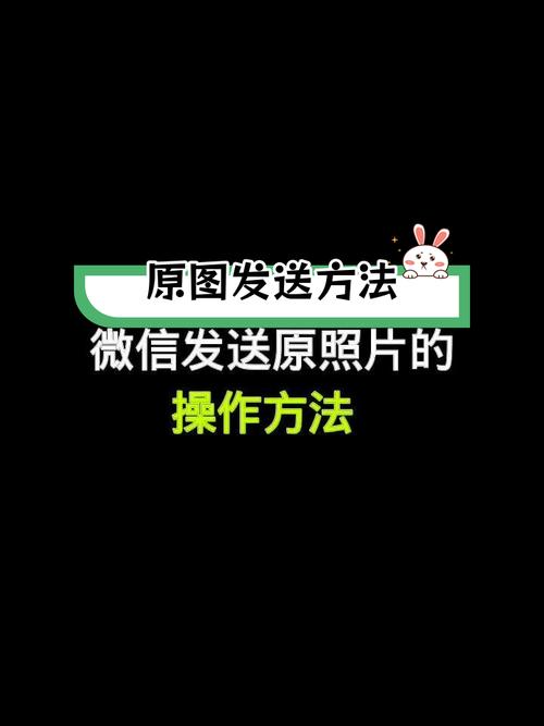 怎么点击原图发送原图截图
