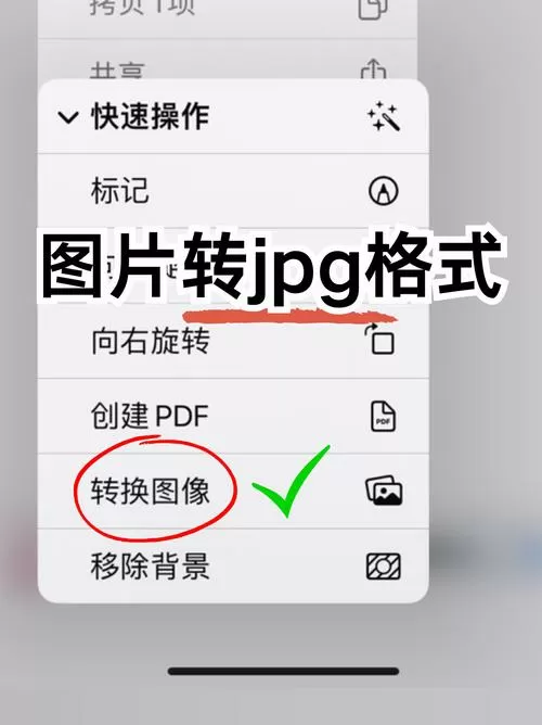 手机照片背景怎么换成其他的截图