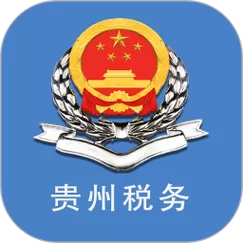 贵州省网上电子税务局登记