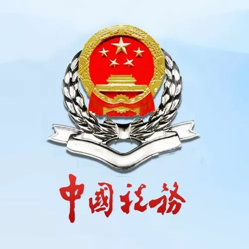 税务总局山东省电子税务局图标