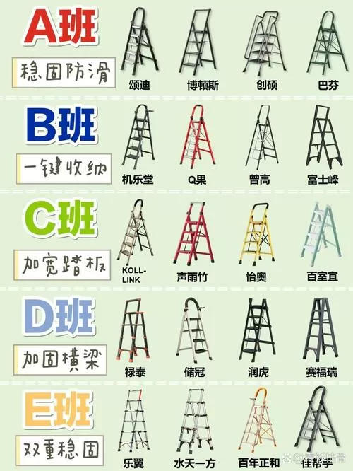 梯子官网图标