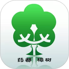 林下中药材种植品种