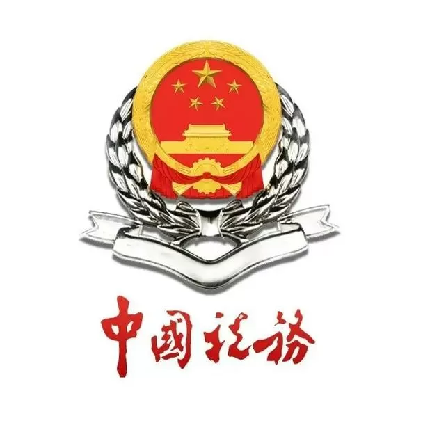 国家税务总局兴税平台安卓版截图