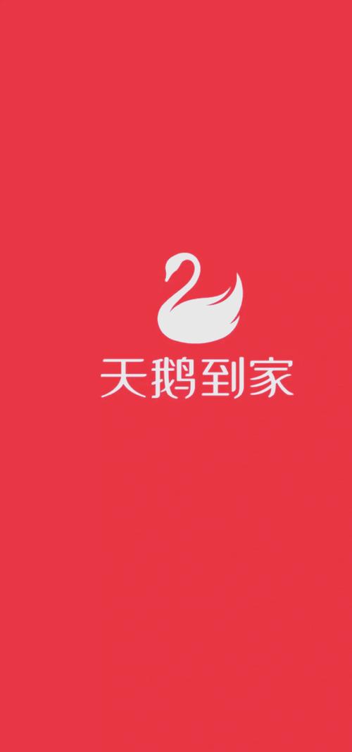 天鹅到家家政图标