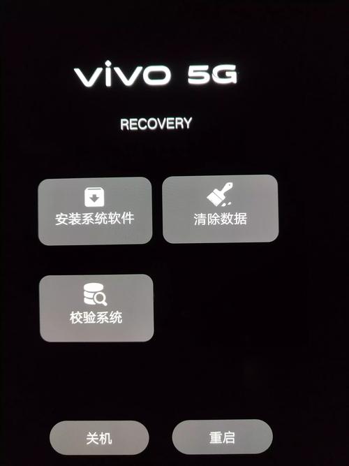 vivo进去recovery模式