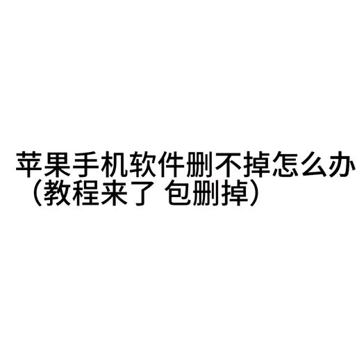 轻量版应用怎么删除截图