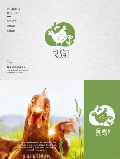 50元养鸡与50元租鸡的智慧截图