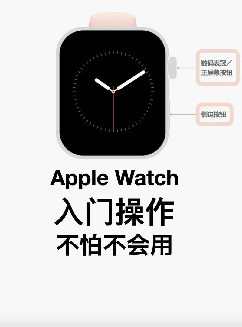 苹果手表提示音能改吗截图