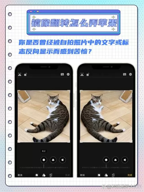 抖音自拍怎么镜像翻转图标
