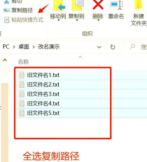 文件名怎么批量修改