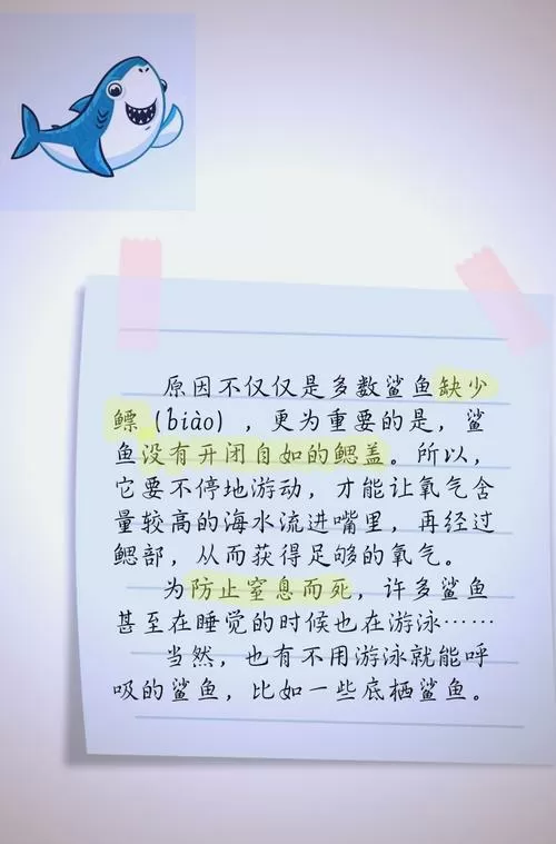 鲨鱼阅读短文及答案图标