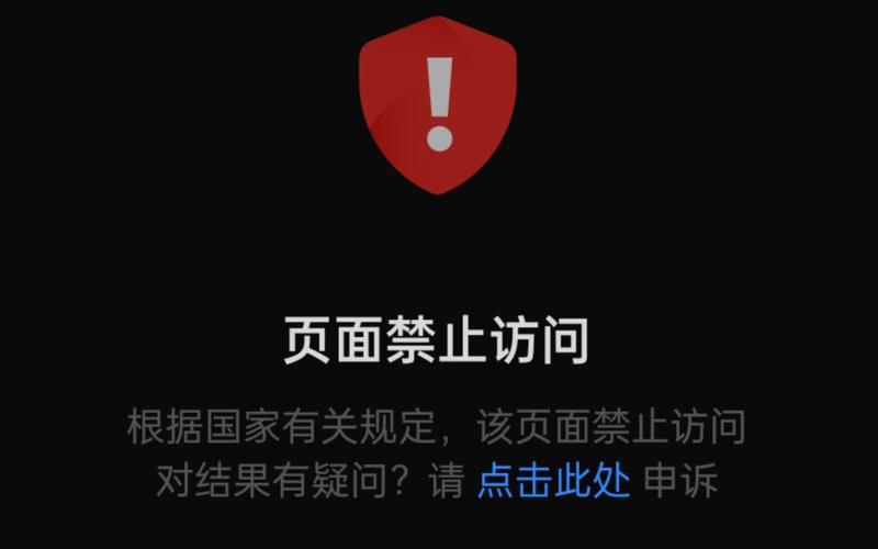 禁止访问的软件怎么打开截图