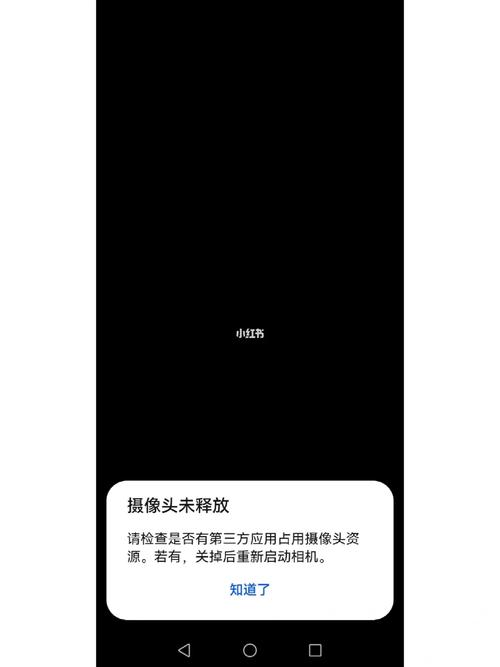 手机的相机打不开了是什么情况游戏截图