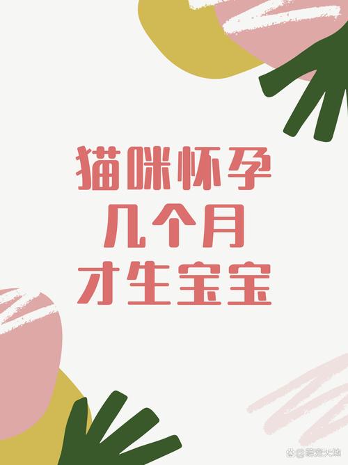 龙猫怀孕多久生图标