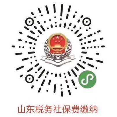 山东税务社保缴费缴纳实名认证认不上截图