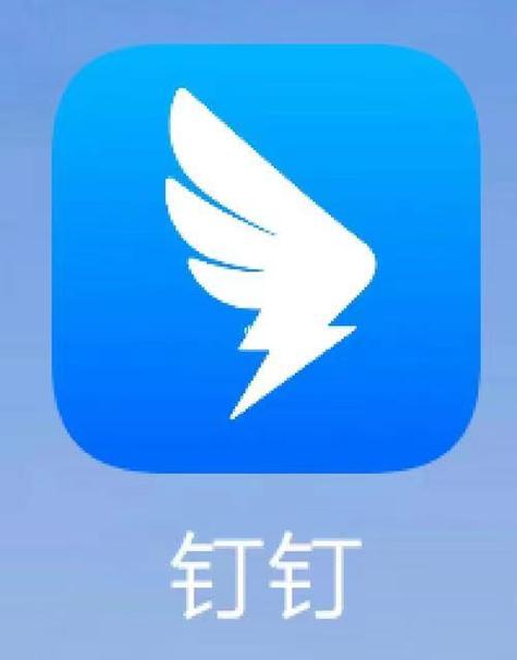钉钉考勤下载截图