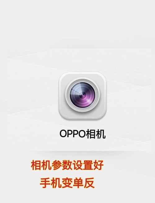 oppo手机怎么调美颜相机图标