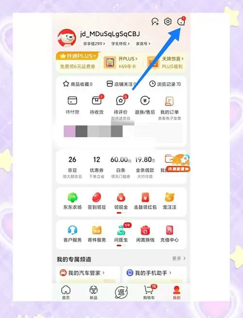 怎么查京东账户有几个图标