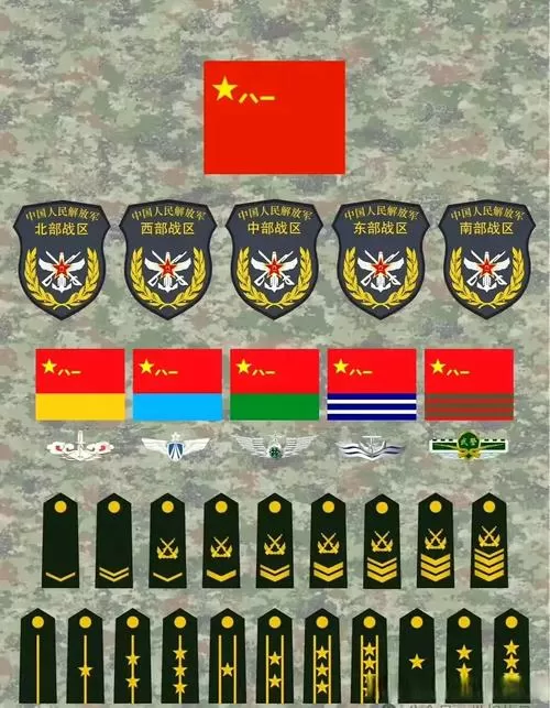 小小部队2军衔有哪些截图