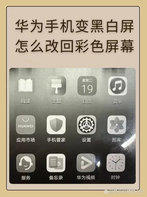 手机色调变成灰白怎么办截图