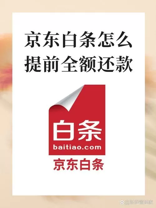 京东白条支付怎么还款截图
