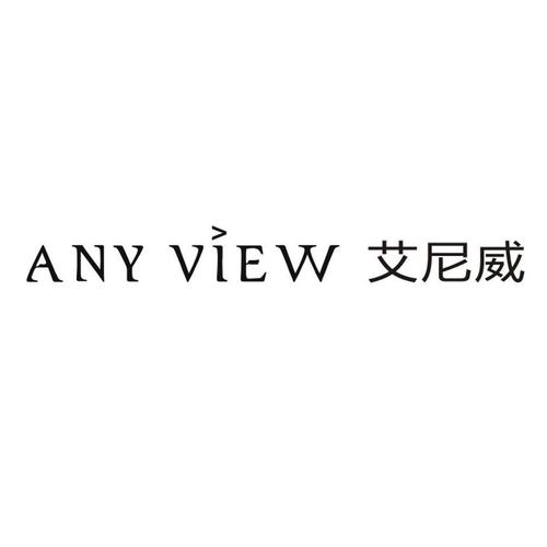 Anyview是什么牌子截图