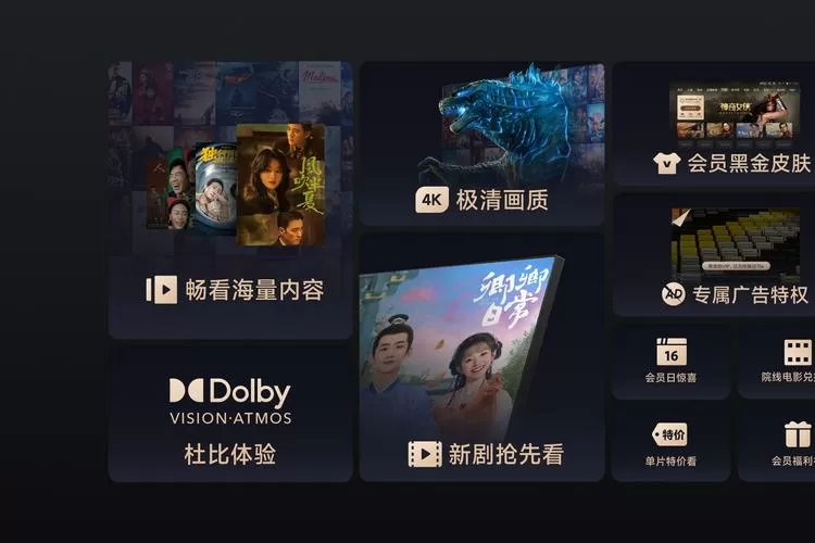 小米电视会员连续包月怎么取消图标