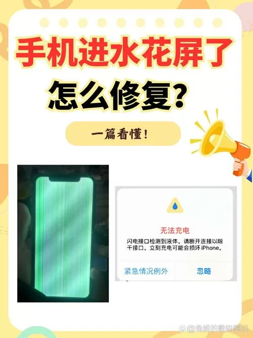手机掉水里了屏幕模糊怎么办图标