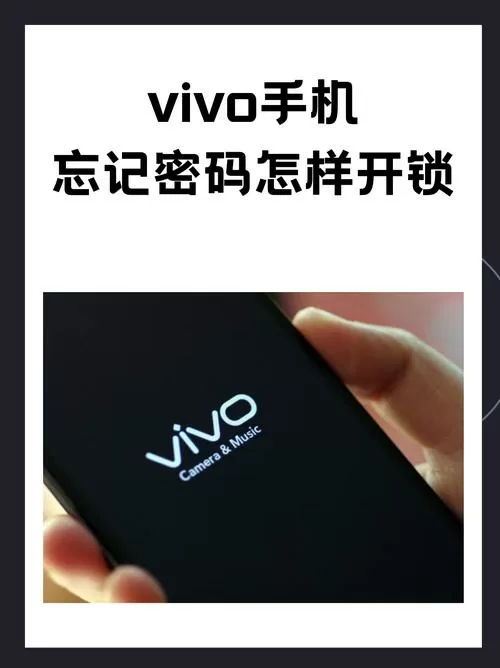 vivo密码键盘与图案图标