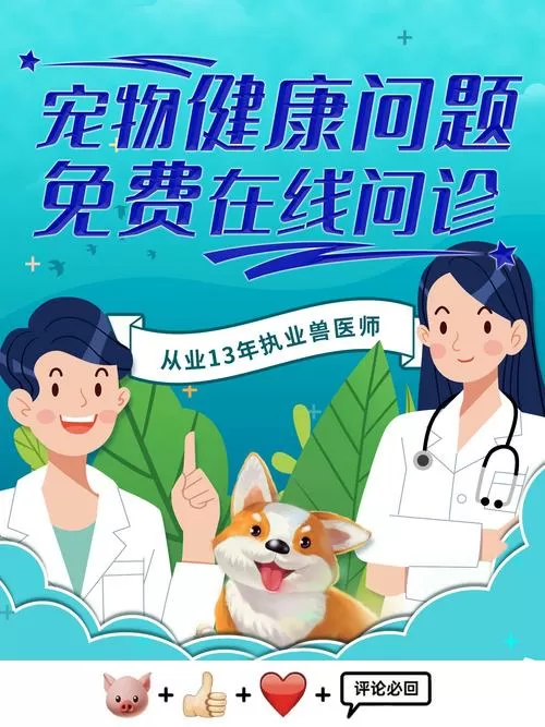 线上兽医在线咨询截图