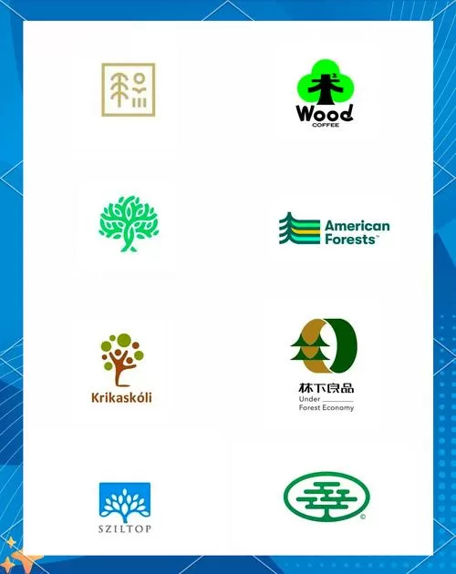 仙人掌木质化需要几年截图