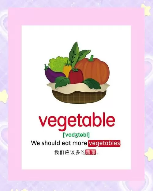 vegtable可数吗截图
