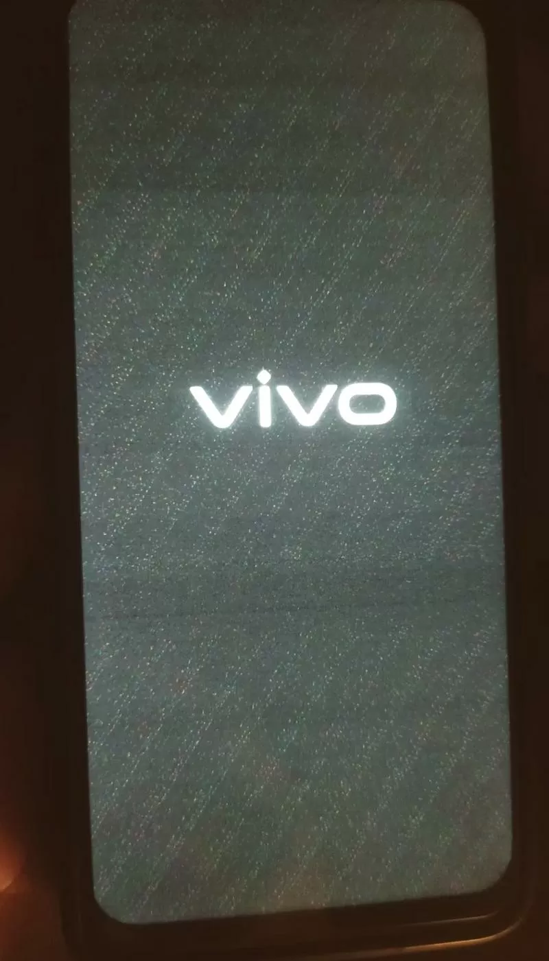 vivo手机开机有震动但黑屏截图