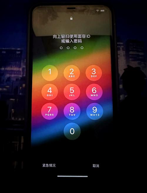 苹果有面容解锁但是忘记密码截图