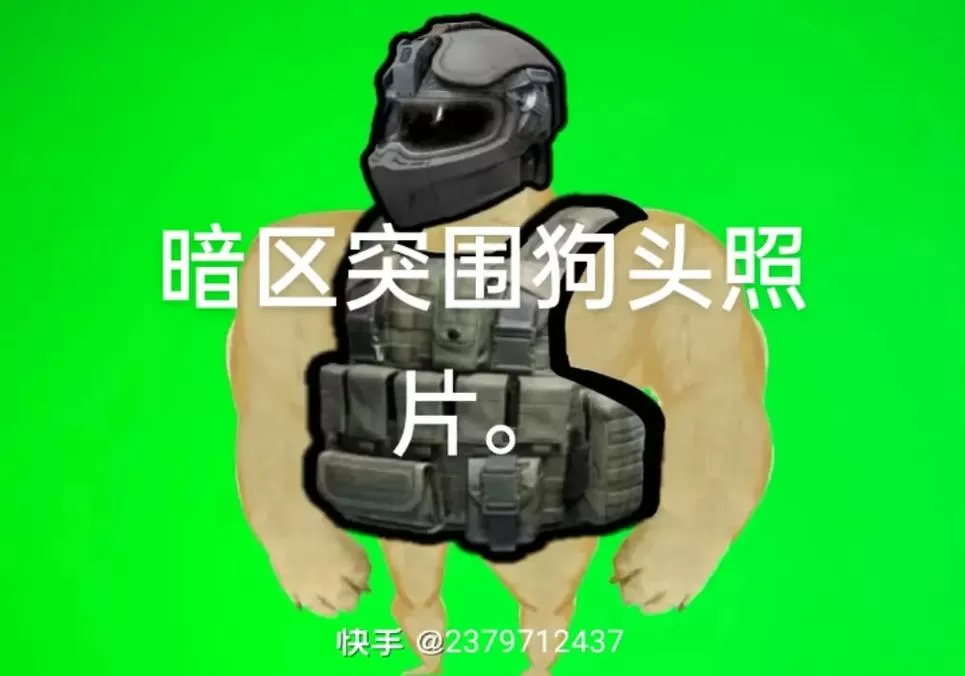 暗区突围狗头超燃图标