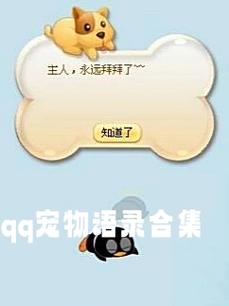 qq游戏怎么领养免费宠物截图