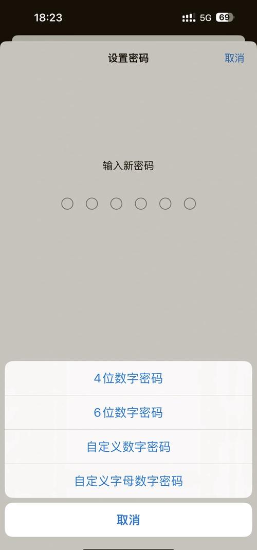 苹果手机如何设置零钱密码