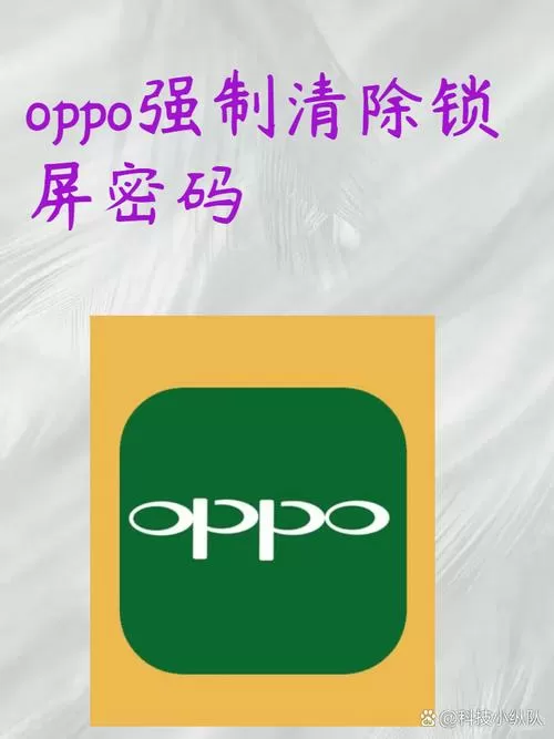 oppo解除隐私密码图标