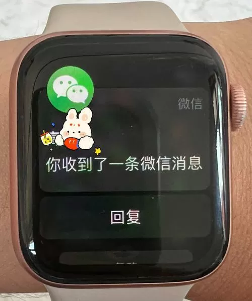 苹果手表突然不提示消息了