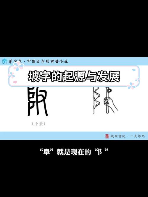 坡坡文18入口古文野玫瑰图标