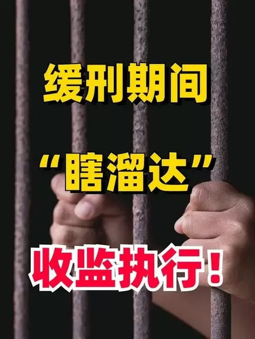 缓刑期间忘记打卡怎么办截图