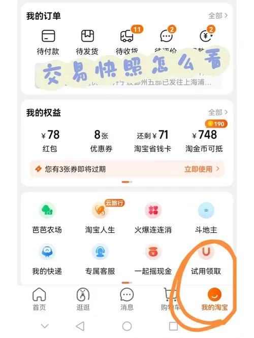 手机淘宝哪里看交易快照图标