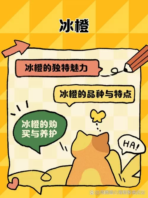 冰橙直播怎么下载安装