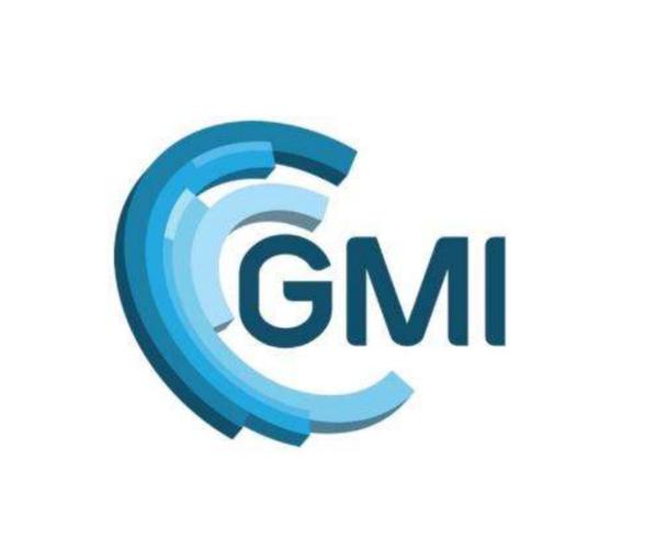gg防闪框架图标