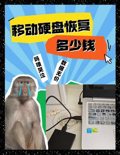 移动硬盘数据恢复价钱