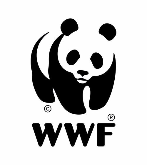 熊猫图片真实照片图标