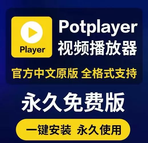 potplayer官网进不去截图