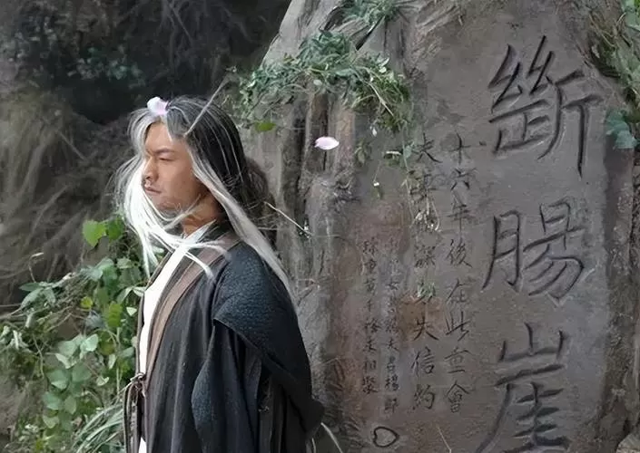 神雕侠侣之襄阳后传图标