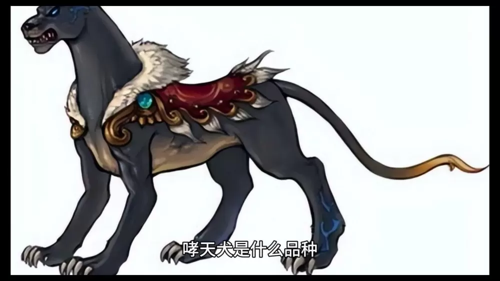 哮天犬v14破解版容器版图标